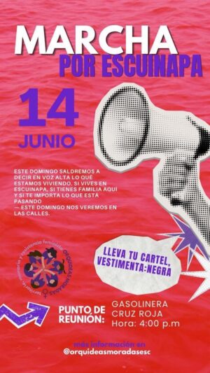 Colectivo “Orquídeas Moradas” convoca a marcha por Grecia y Ramiro ...